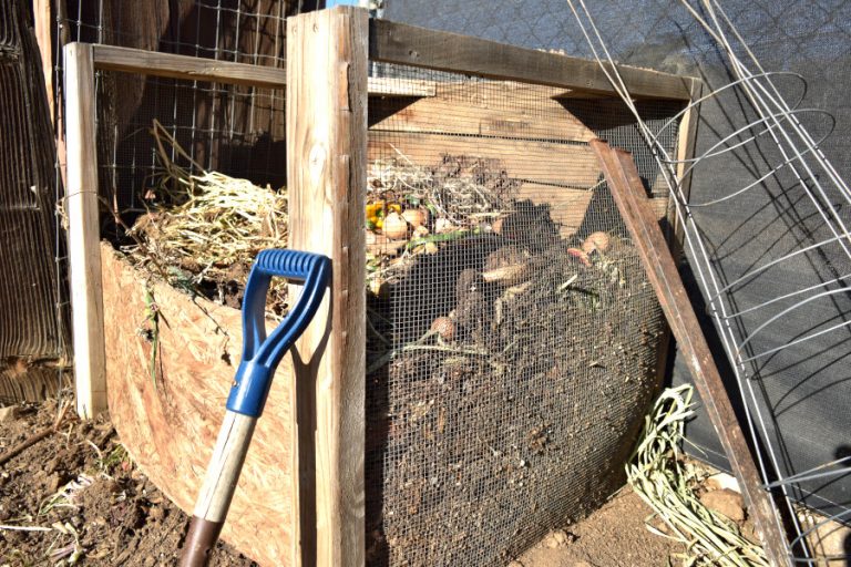 How to Start Composting- Kitchen Scraps | The Homespun Hive